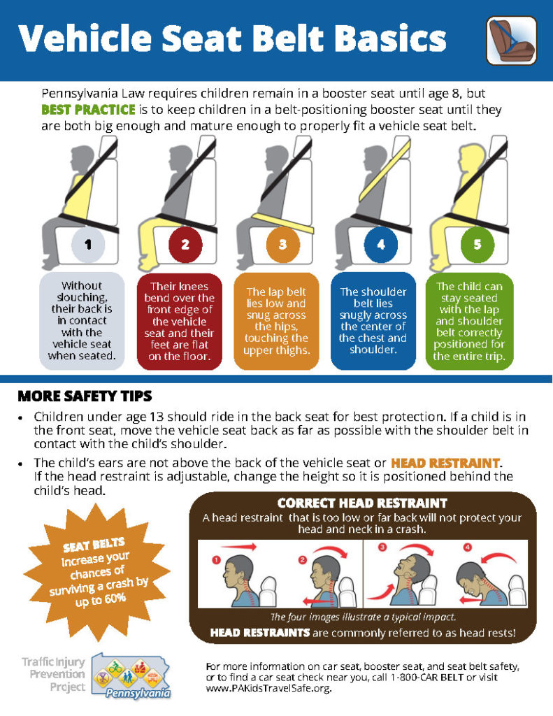 TIPP: Elementary School – Booster Seat Basics / Vehicle Seat Belt ...